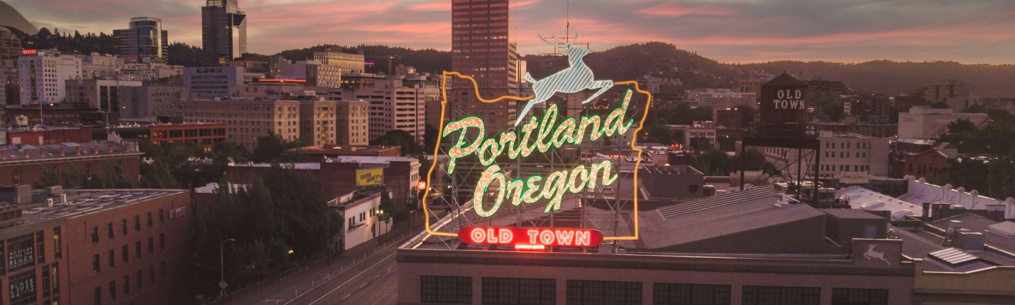 History – Portland Festival of Cinema, Animation & Technology